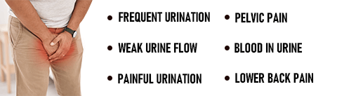 Biosigla Prostate Health - #1 Prostate Health Support