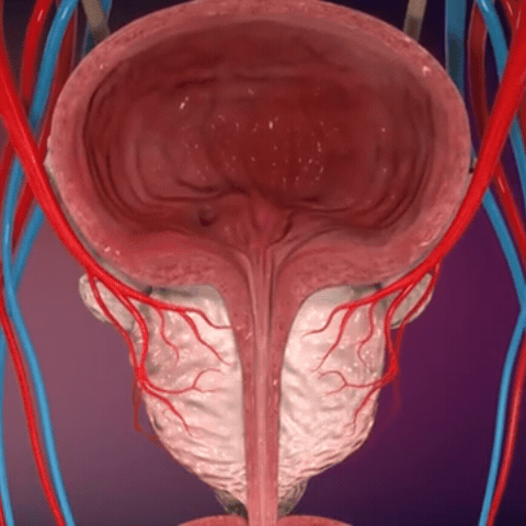 Biosigla Prostate Health - #1 Prostate Health Support